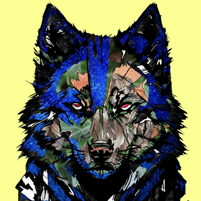 ArtWolf - HBAR NFT Collection 0.0.3063178 - Hedera Marketplace - SentX